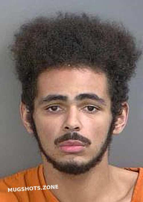NEWMAN DARIUS TYRELL 01/28/2024 - Collier County Mugshots Zone