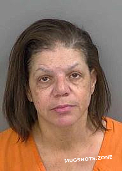 FOLEY LISA KAY 02/15/2024 - Collier County Mugshots Zone
