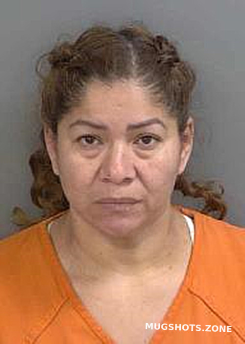 BACA KARLA 02/23/2024 - Collier County Mugshots Zone