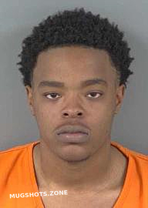 Alix Wiltton 03 04 2024 Collier County Mugshots Zone