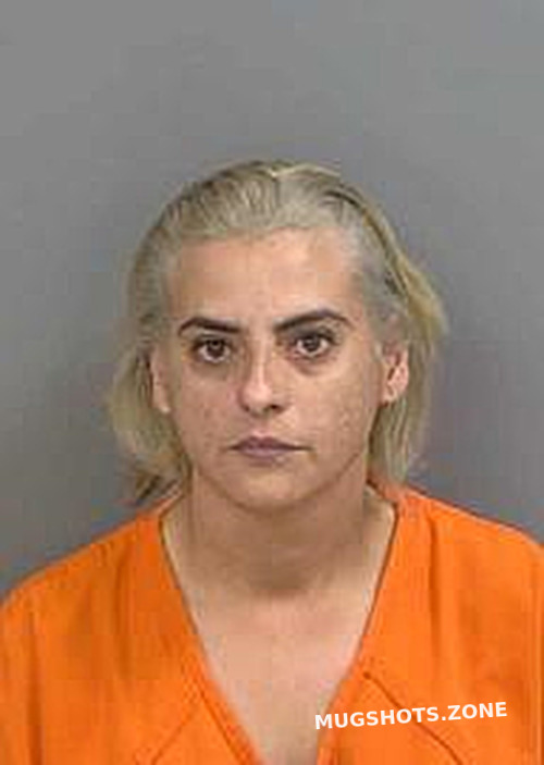 Garcia Yidalmis 03 19 2024 Collier County Mugshots Zone