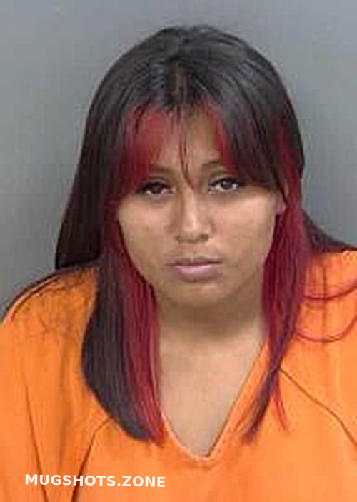 ANDINO-SALINAS LISVET JEANETH 03/22/2024 - Collier County Mugshots Zone