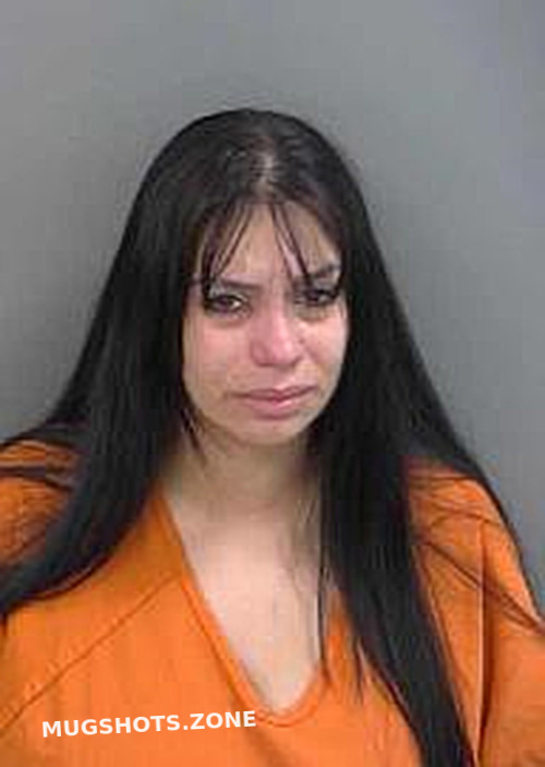 Gonzalezaguillon Barbara Leticia 04 06 2024 Collier County Mugshots Zone