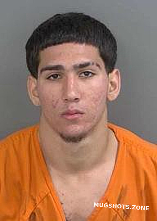 MITJANS-SIMON ERNESTO 04/15/2024 - Collier County Mugshots Zone