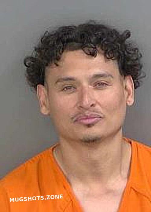 AREVALO MATTHEW DANIEL 04/15/2024 - Collier County Mugshots Zone