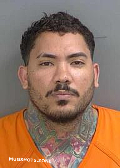 PONCEDUARTE RAYDEL 04/21/2024 - Collier County Mugshots Zone