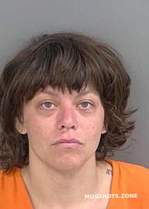 FEASEL ALYSON BROOKE 04/26/2024 - Collier County Mugshots Zone