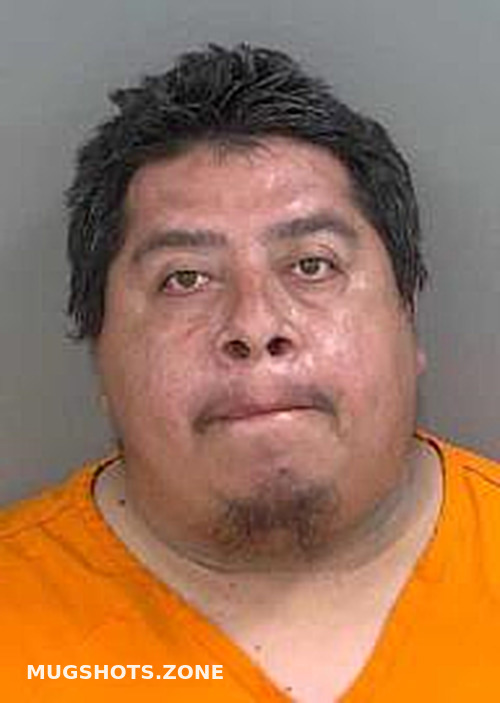 CASTRILLO MARIO RENE 05/09/2024 - Collier County Mugshots Zone