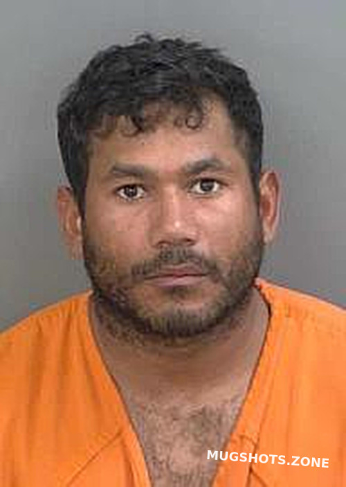 Mora Pedro 05 12 2024 Collier County Mugshots Zone