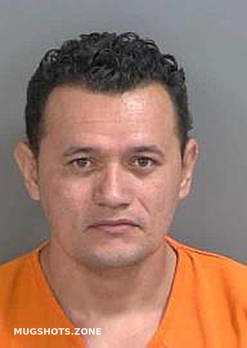 Gonzalez Eddy Antonio 05 13 2024 Collier County Mugshots Zone