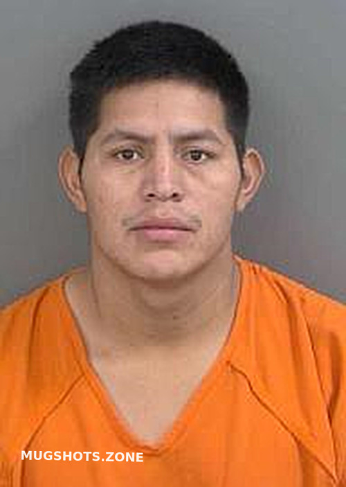PEREZ RAMON LUIS 05/14/2024 - Collier County Mugshots Zone