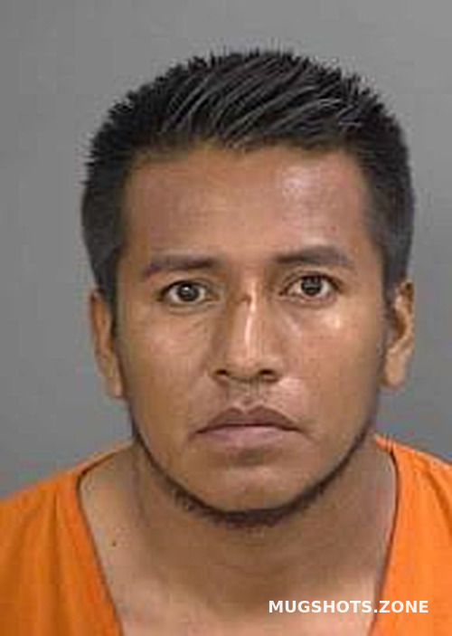 CRUZSANCHEZ GREGORIO 05/17/2024 - Collier County Mugshots Zone