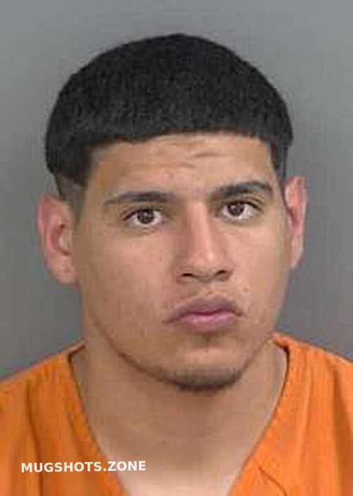 CASTILLO LUIS 05/18/2024 - Collier County Mugshots Zone