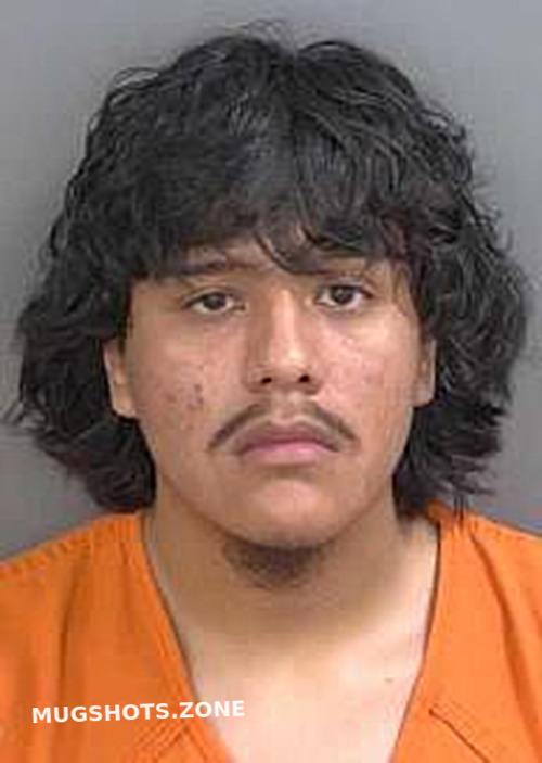 LOPEZZAVALA MICHAEL 05/19/2024 - Collier County Mugshots Zone