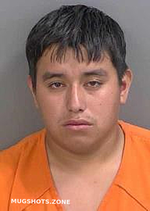 Rivasperez Wilmer 05 20 2024 Collier County Mugshots Zone