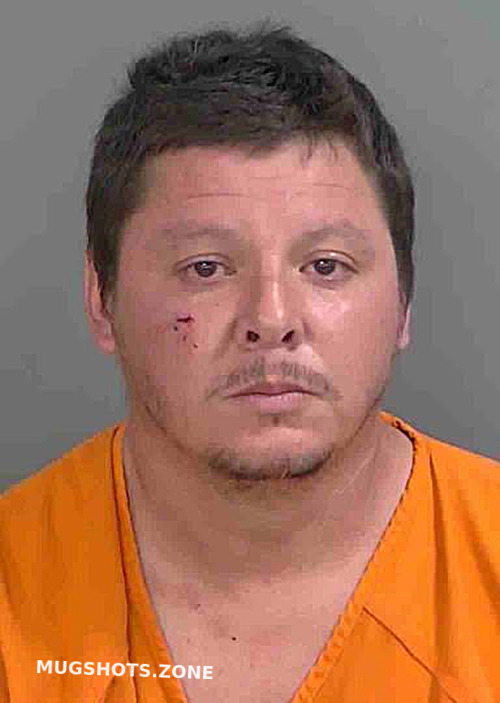 CASTILLO STEVE 06/01/2024 - Collier County Mugshots Zone