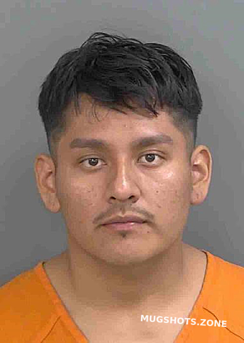 SANTIAGO FERMIN OSCAR 06/05/2024 - Collier County Mugshots Zone