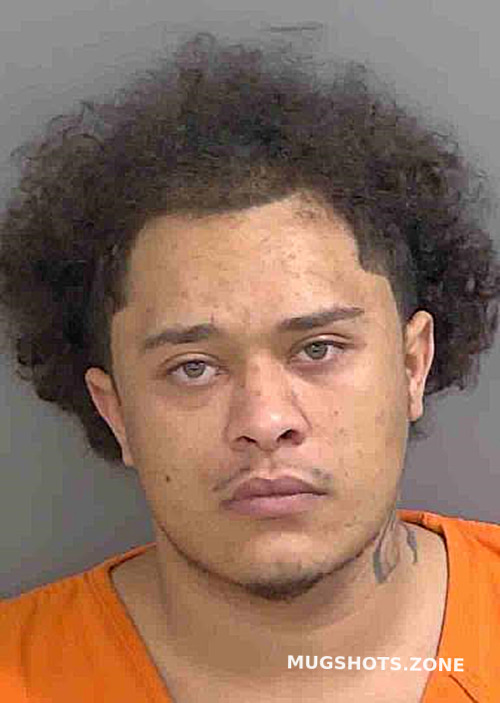 WALL JASON 06/09/2024 - Collier County Mugshots Zone