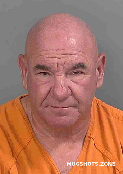 RIBAS RICHARD JOSEPH 06/09/2024 - Collier County Mugshots Zone