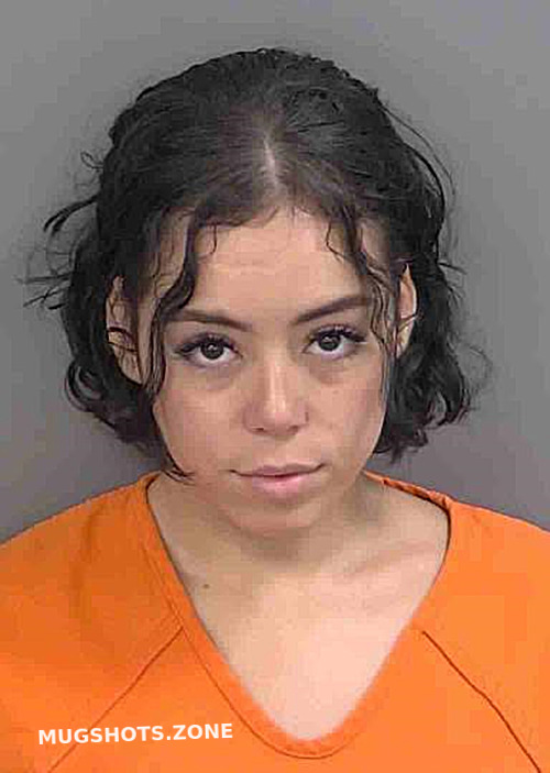 TORRESGONZALEZ JESSICA 06/12/2024 - Collier County Mugshots Zone