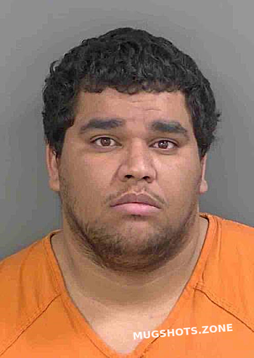 DELTOROGALAN JOSE MIGUEL 06/13/2024 - Collier County Mugshots Zone