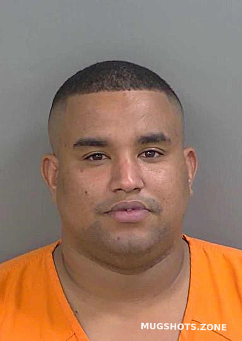 RODRIGUEZ DAVID CREGO 06/13/2024 - Collier County Mugshots Zone