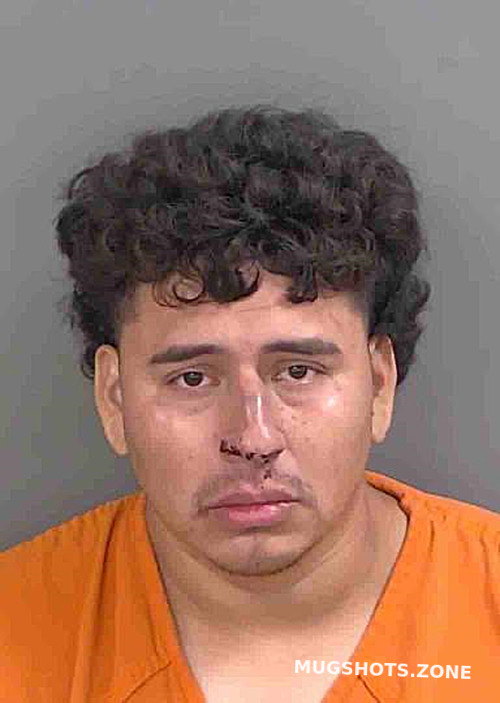 RODRIGUEZCASTRO ELDER MISAEL 06/15/2024 - Collier County Mugshots Zone