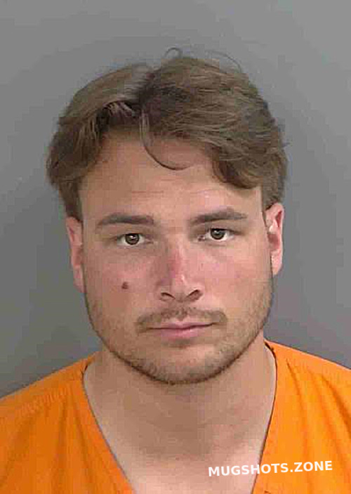 Dzidic Anes 06 17 2024 Collier County Mugshots Zone