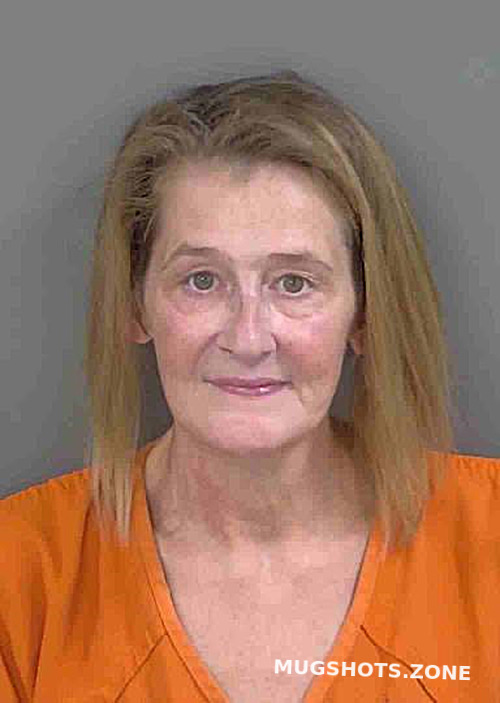 STUART LYNNEA KELLI 06/17/2024 - Collier County Mugshots Zone