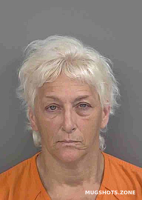 ANGELILLI MICHELE 06/19/2024 - Collier County Mugshots Zone