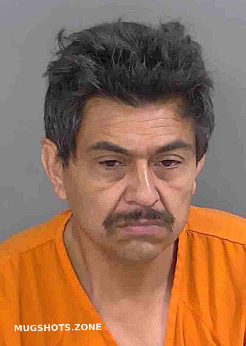HERNANDEZ RAY 06/21/2024 - Collier County Mugshots Zone