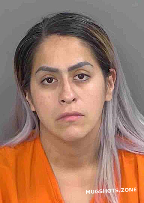 RODRIGUEZ BRENDA 06/22/2024 - Collier County Mugshots Zone