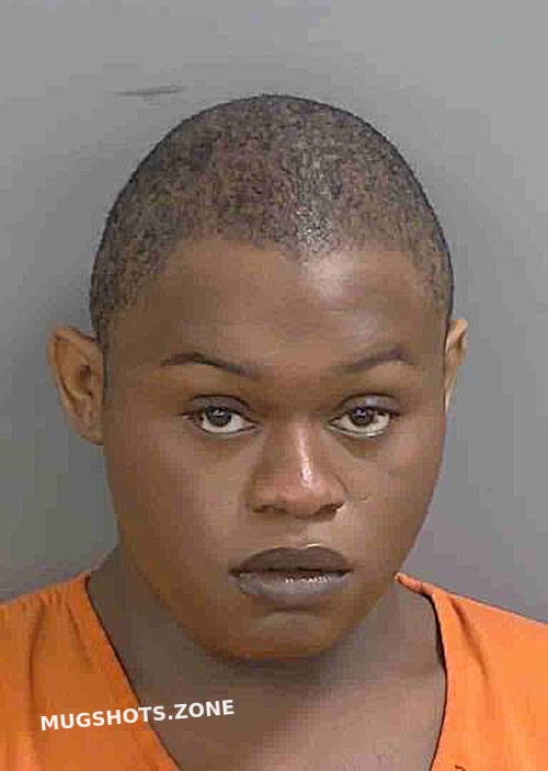 PERRY ANDRE ZION 06/26/2024 - Collier County Mugshots Zone