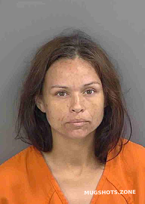 HUDSON HEATHER MARIE 06/26/2024 - Collier County Mugshots Zone