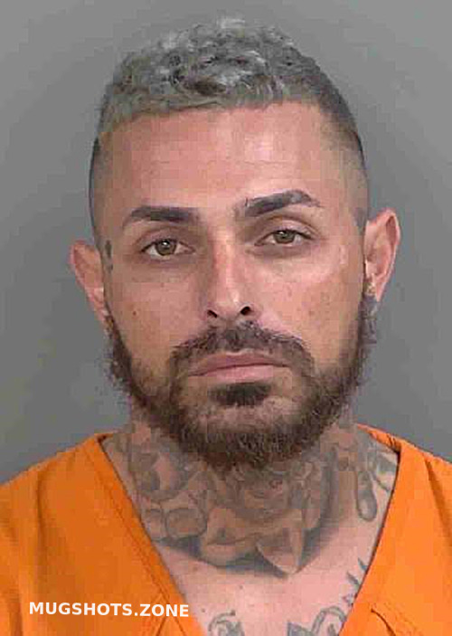 DEMPSEY TIMOTHY ERIC 06/28/2024 - Collier County Mugshots Zone