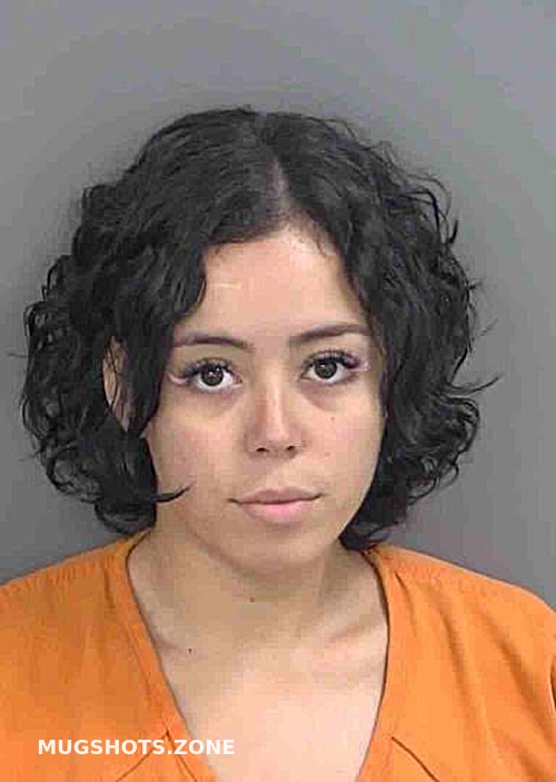 TORRESGONZALEZ JESSICA 07/03/2024 - Collier County Mugshots Zone