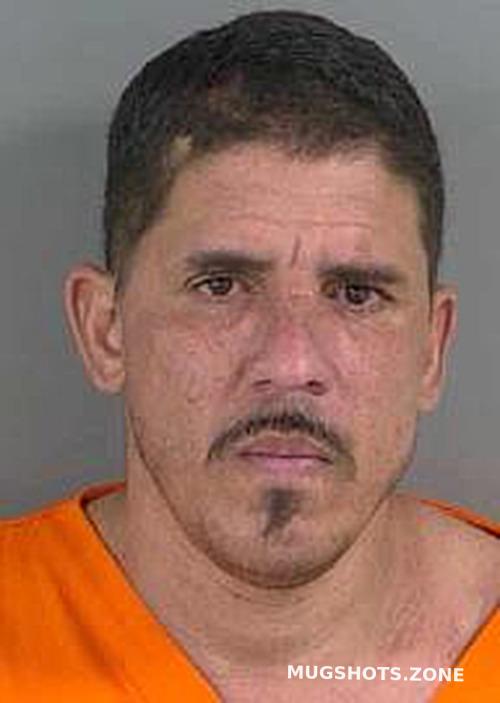 ROLON FERNANDO LUIS JR 07/05/2024 - Collier County Mugshots Zone