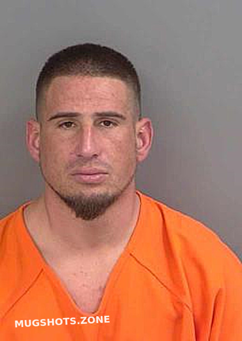 DASILVA DEREK TAYLOR 07/17/2024 - Collier County Mugshots Zone