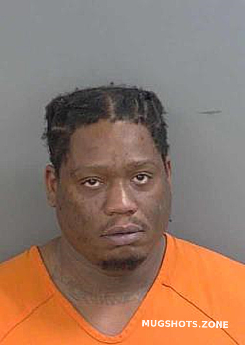 NORELIA MICHAEL 07/18/2024 - Collier County Mugshots Zone