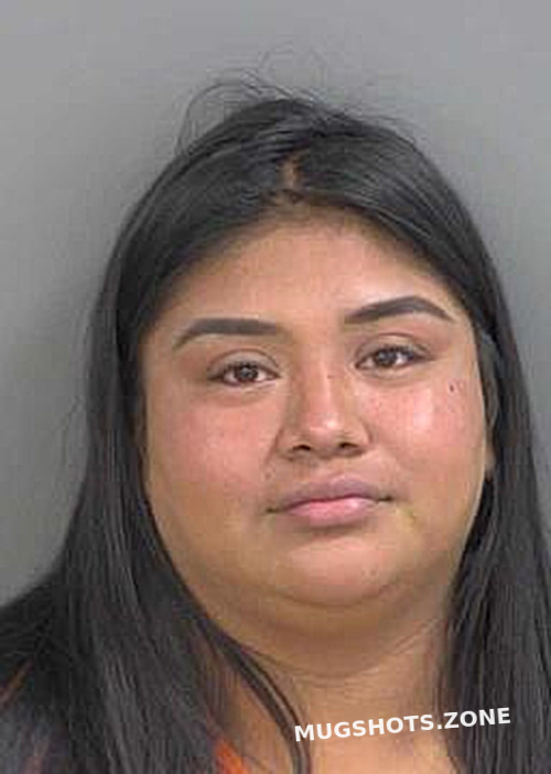 PEREZ MELINDA 07/20/2024 - Collier County Mugshots Zone