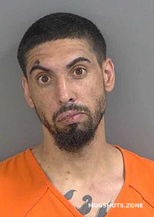ARMINIO MICHAEL L 07/28/2024 - Collier County Mugshots Zone