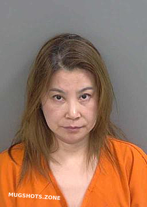 DAI ANNA 07/30/2024 - Collier County Mugshots Zone