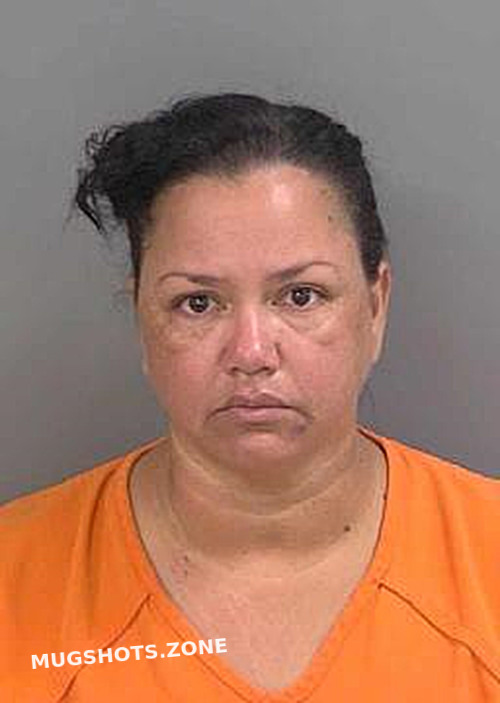 CASTROTERRERO DANAY 07/31/2024 - Collier County Mugshots Zone