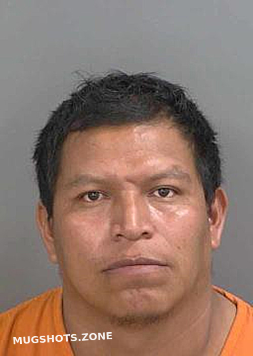 Lopez Juan 08 02 2024 Collier County Mugshots Zone