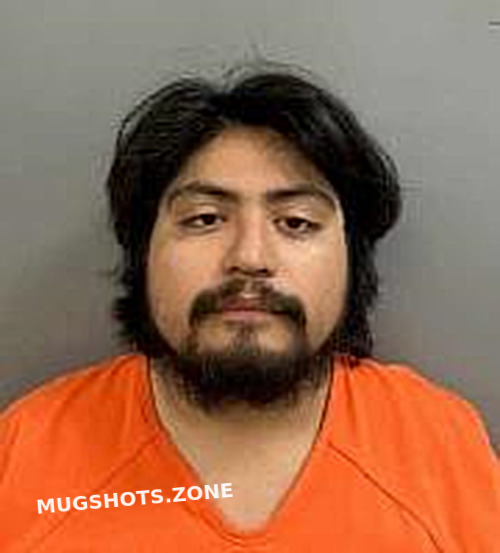 SANTOS RONALDO 08/07/2024 - Collier County Mugshots Zone