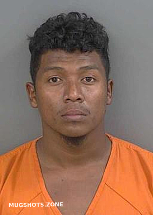 KIATH ADONIS WILSON 08/13/2024 - Collier County Mugshots Zone