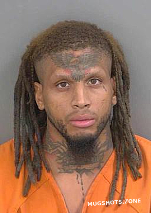 RAMIREZ LUISBEL 08/20/2024 - Collier County Mugshots Zone