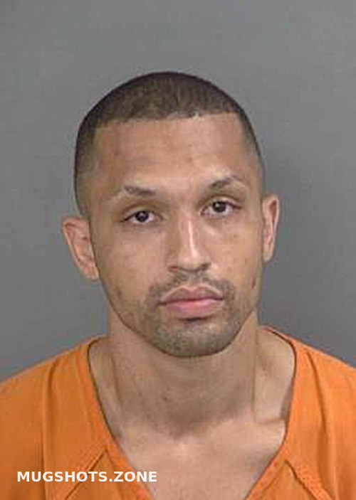 WILLIAMS MILES ANDREW 08/22/2024 - Collier County Mugshots Zone