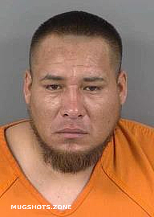 TORRESMORAN JULIO 08/25/2024 - Collier County Mugshots Zone