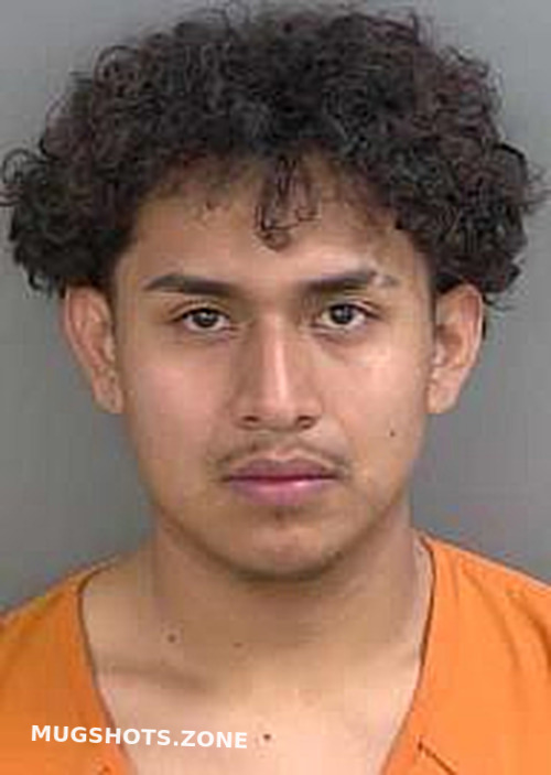 SANJUANTAPIA DANIEL 08/27/2024 - Collier County Mugshots Zone